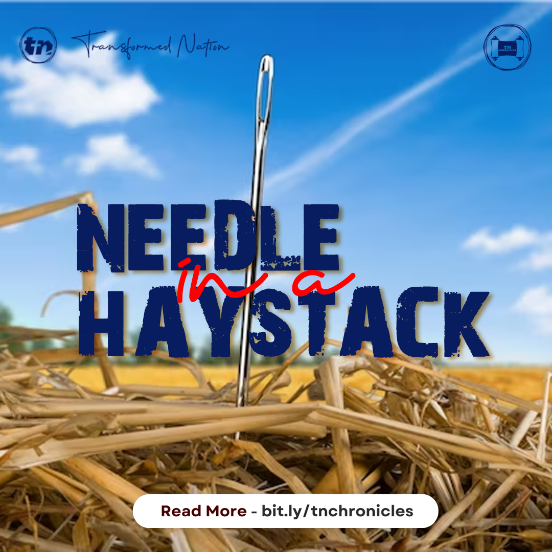 Needle in a Haystack | Transformed Nation - We are a Nation of spirit ...